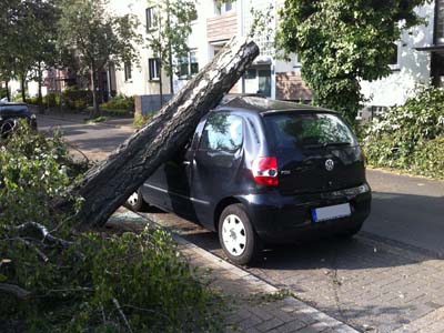 Autohaus Gunsch in Peiting - Meisterhaft-Partner - Startseite